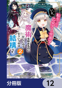 転生したら乙女ゲーの世界？【分冊版】 12 (FLOS COMIC) - 漫画：坂巻あきむ 原作：櫻井三丸 キャラクター原案：ミュシャ - 無料まんが・試し読みが豊富！電子書籍をお得に買うなら ...